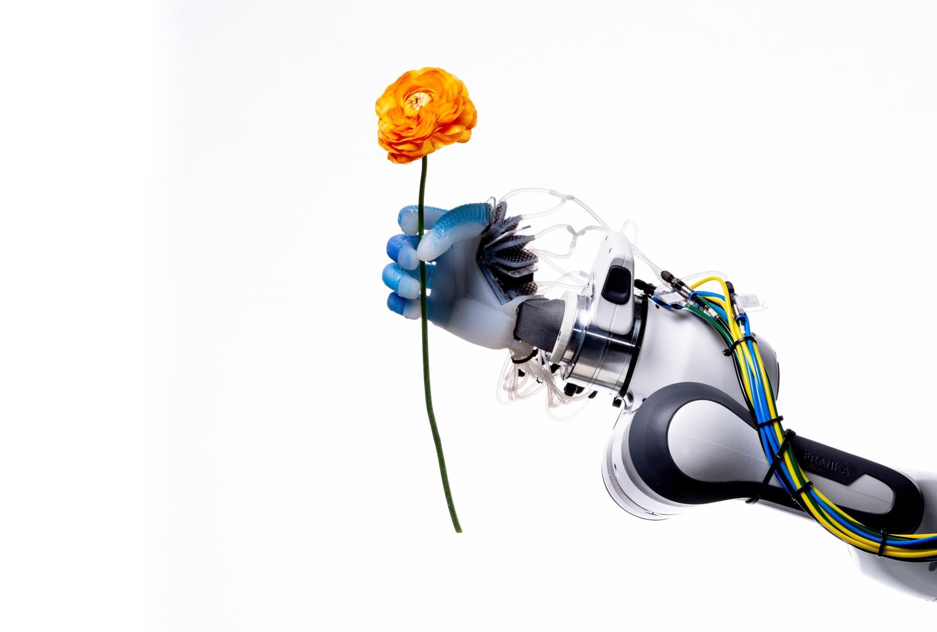Handy Robots - Brain Jam